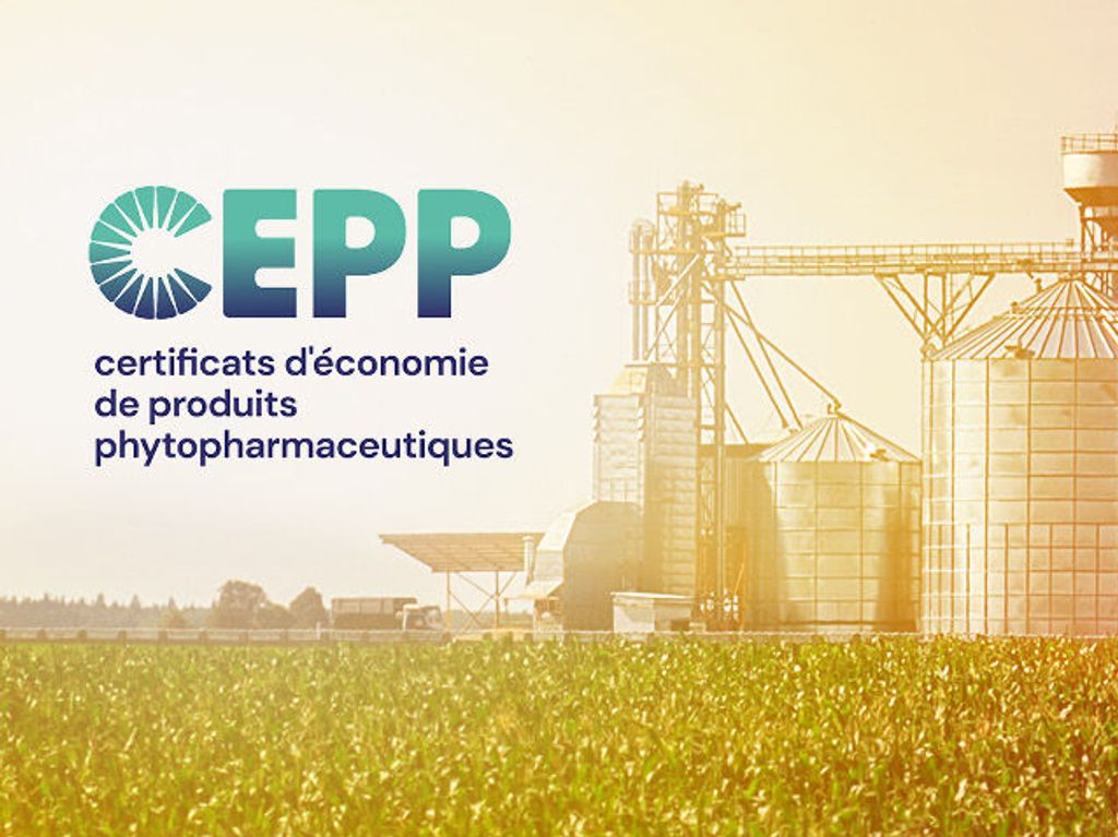 Maximisez la qualité de vos grains et profitez du dispositif CEPP avec ...