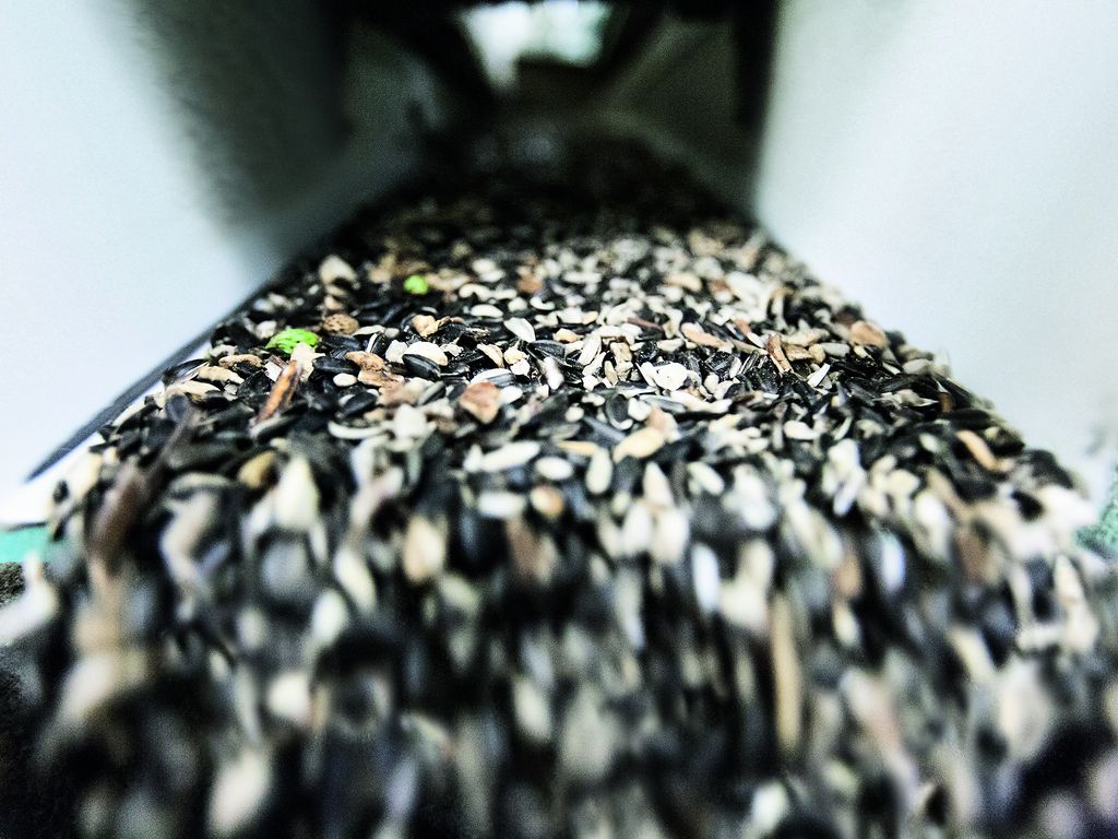 Dehulling Processes | Bühler Group