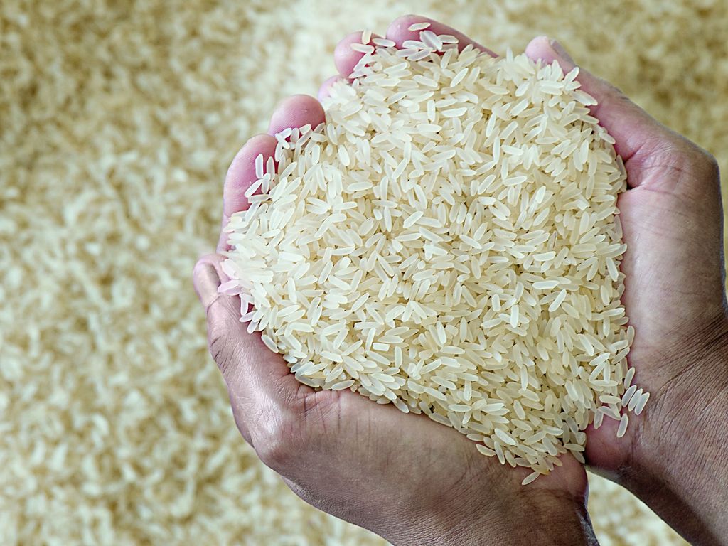 Paddy to Rice Processing