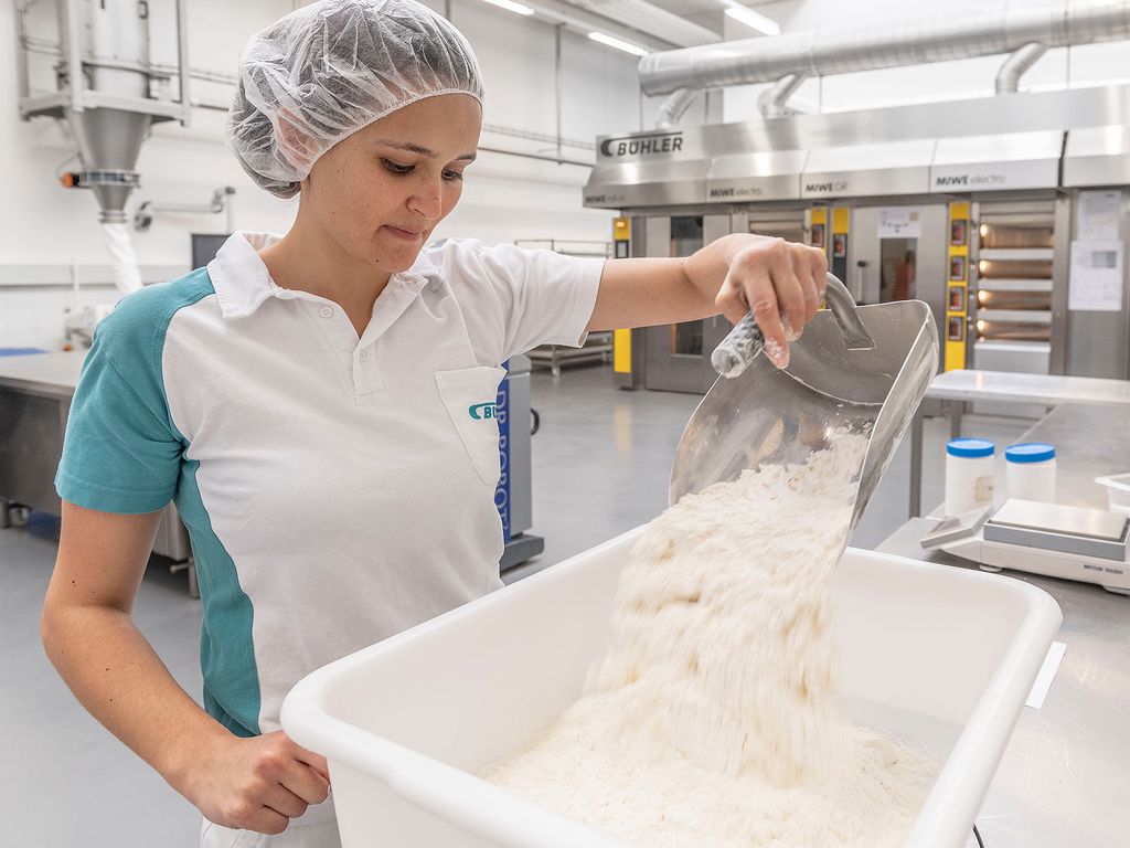 Baking science & laboratory course for flour and bread quality ...