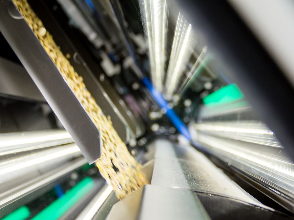 Optical Sorting Machines | SORTEX | Bühler Group