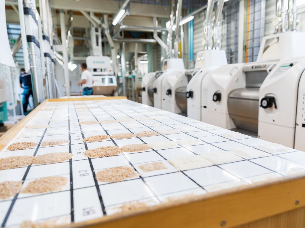 Wheat Milling for Head Millers | Milling Training | Bühler Group
