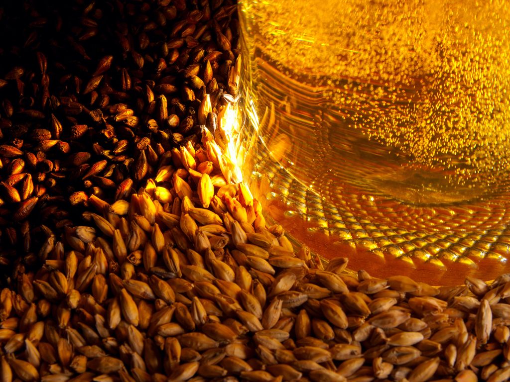 Brewing & Distilling | Malt Processing for Best Beer | Bühler Group