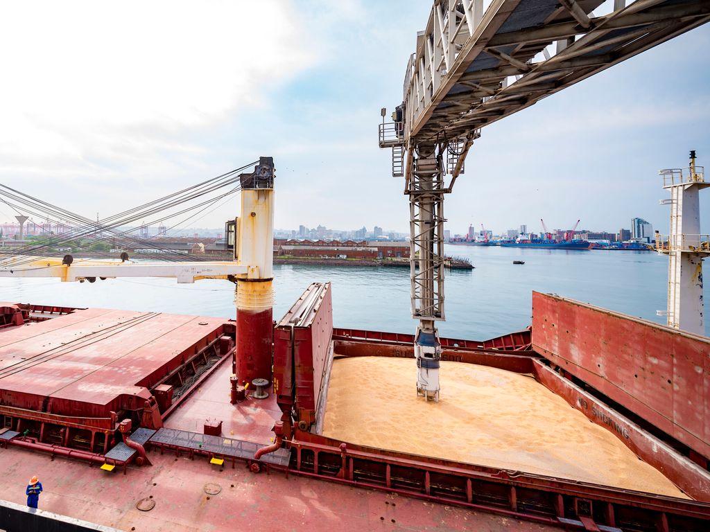 Portaload LFMA | Mobile Ship Loader | Bühler Group