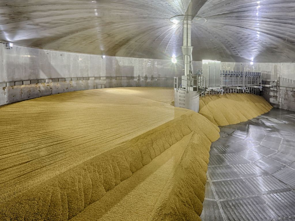 Germination Process | Malting | Bühler Group