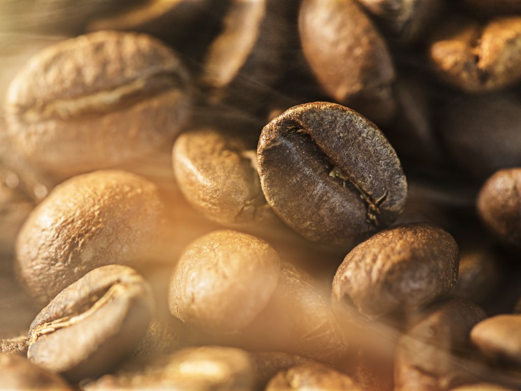 Webinar: Coffee Roasting Masterclass - Optimize flavor & scale your ...