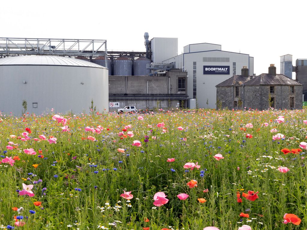 Customer success story | Minch Malt | Malting | Bühler Group
