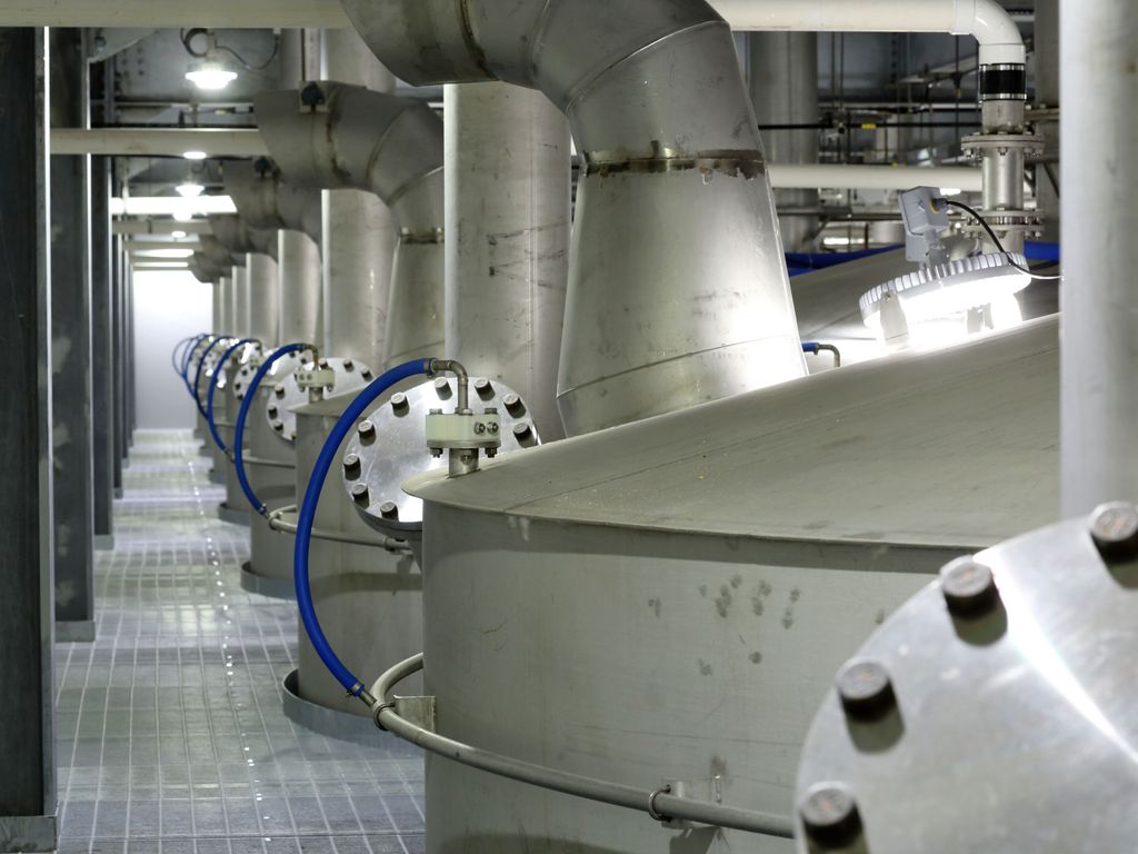 Proceso de remojo | Malteado | Bühler Group